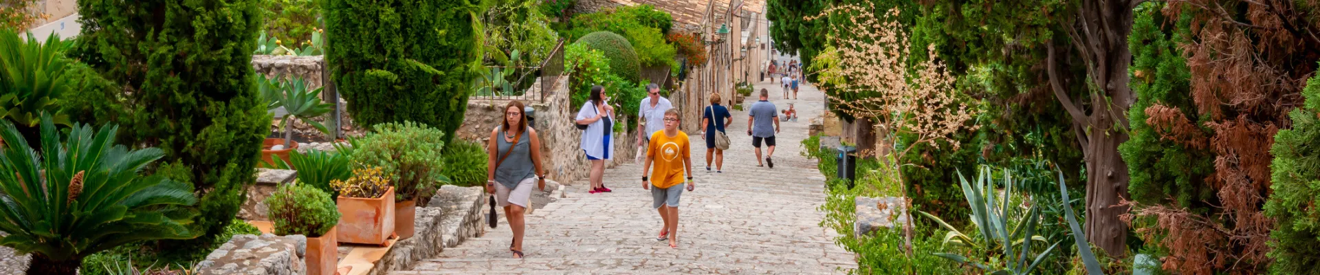 Discover the Pollença Fair: A mix of culture and tradition - Majorca Blog